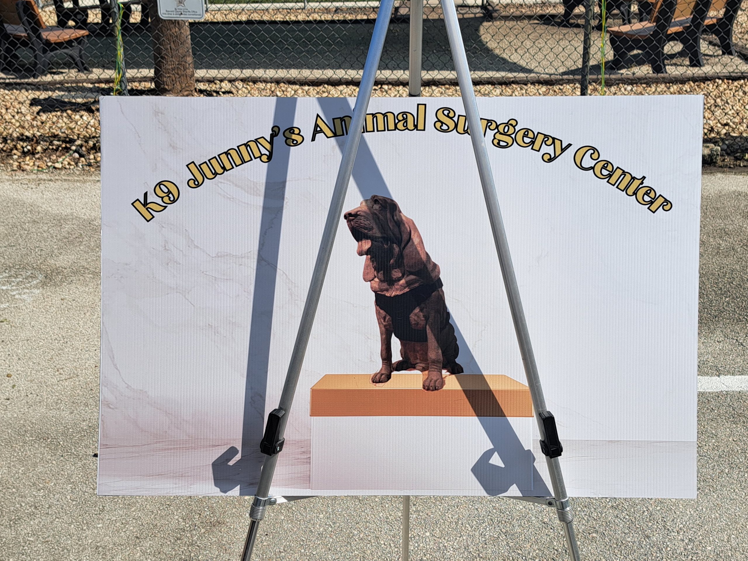 Brevard County Is Now An Animal Welfare Leader - Premier Veterinary Care